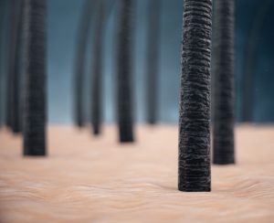 Patterned Hair Loss Treatments Melbourne