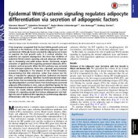 Research - Sinclair Dermatology